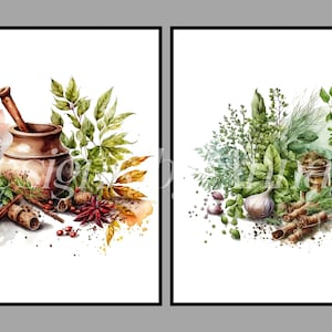 Watercolor Herbs & Spices Clipart: Rustic Kitchen Graphics (JPEG, PNG ...