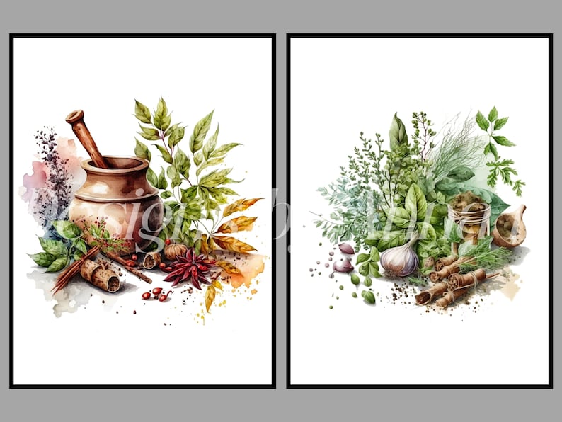 Watercolor Herbs & Spices Clipart: Rustic Kitchen Graphics (JPEG, PNG ...