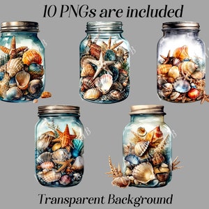 Watercolor Sea Shells Clipart, 10 High Quality JPEG and PNG Files ...