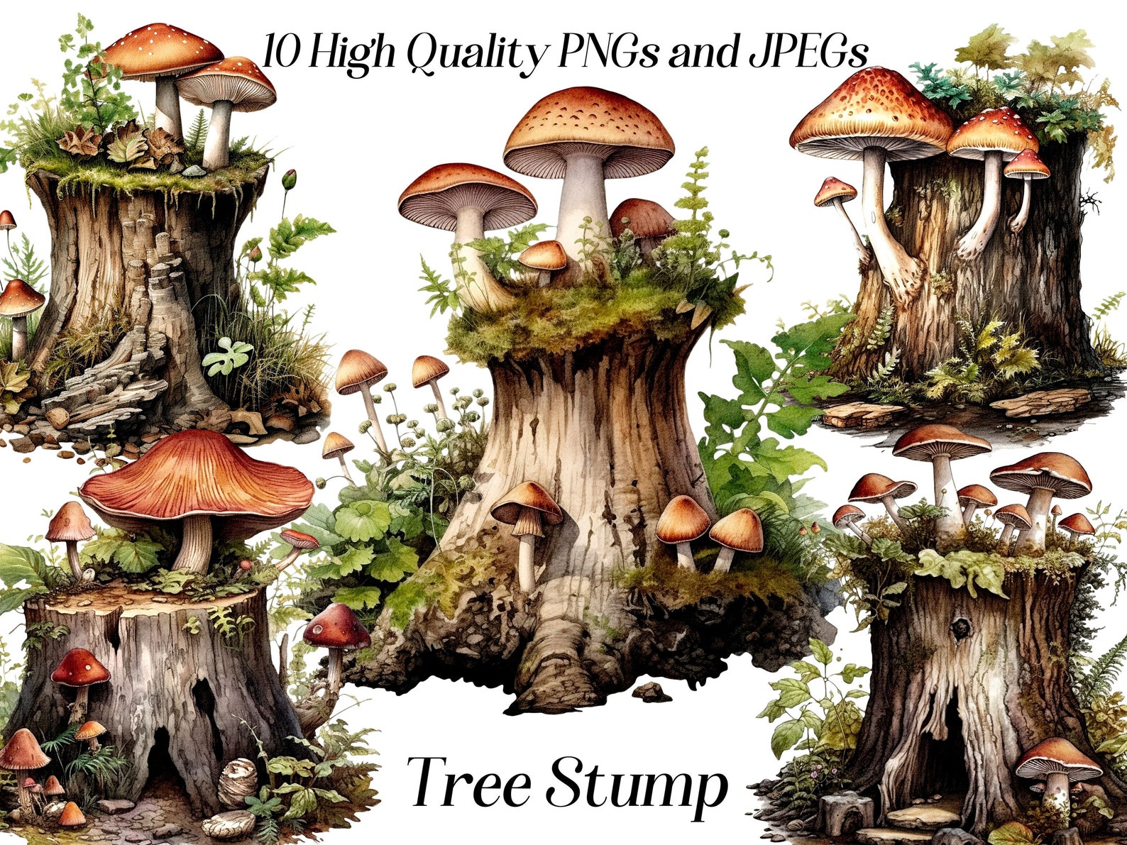 Watercolor Tree Stump Clipart: Forest Illustration (JPEG, PNG) - Etsy