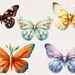Easter Butterfly Clipart: Watercolor Spring PNG Images (digital ...