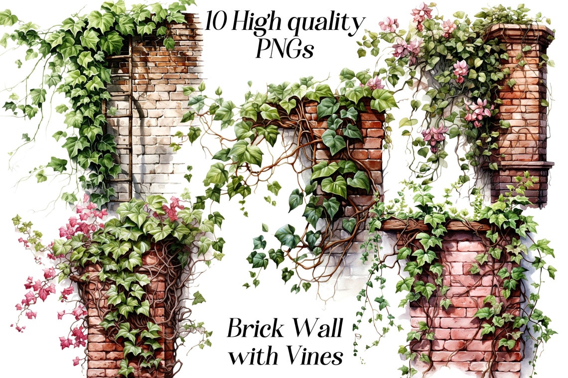 Watercolor Brick Wall With Vines Clipart (10 PNG Files) - Etsy