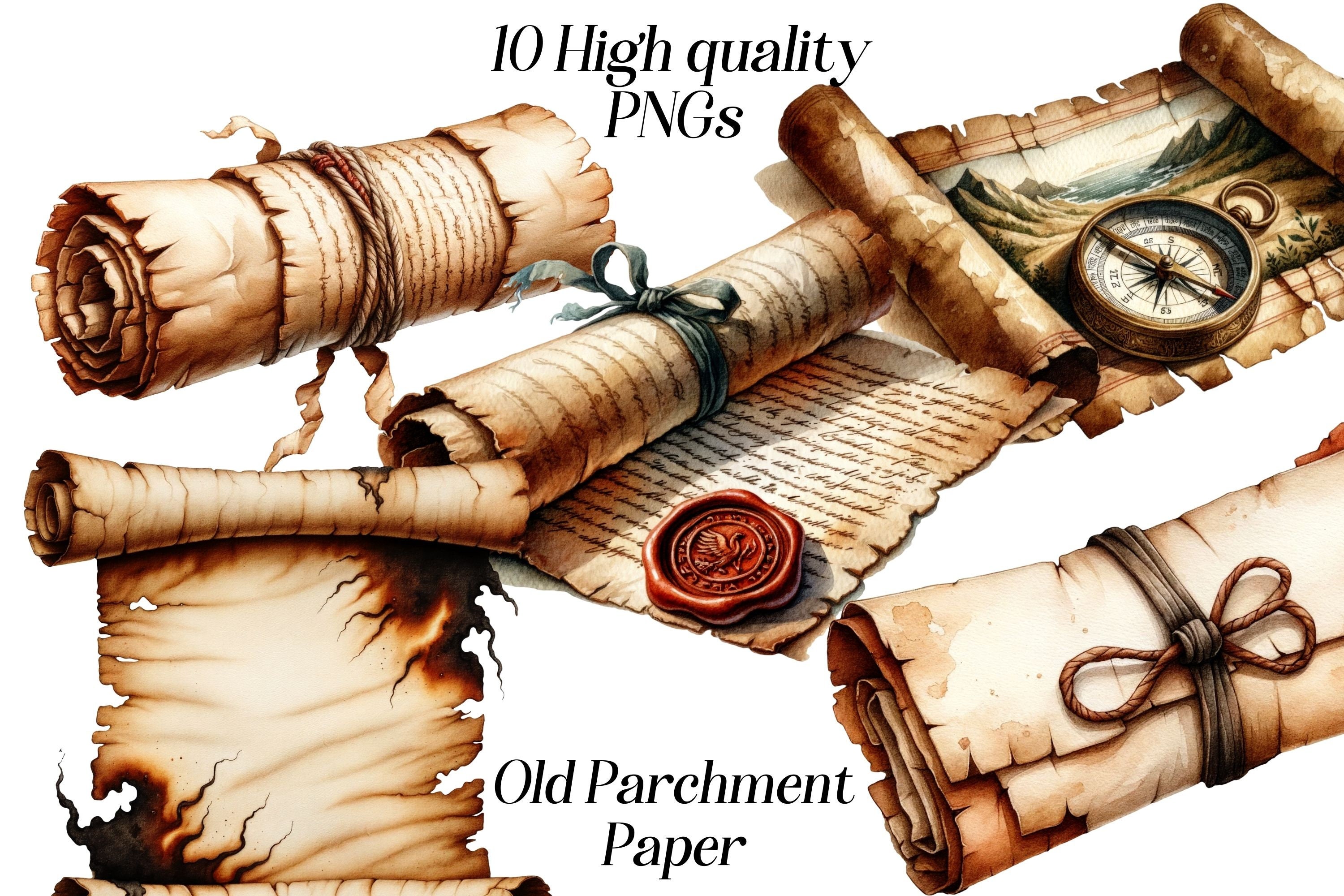 Watercolor Parchment Paper Clipart: Antique Scroll Graphics (PNG Files ...