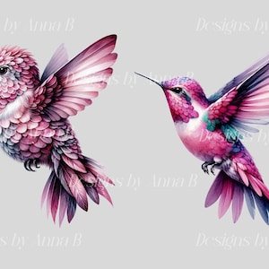 Hummingbird Clipart, Watercolor Exotic Bird Clip Art, Png, Tropical ...