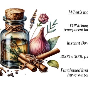 Watercolor Essential Oils Clipart, 13 PNG Files, Spa, Aromatherapy ...