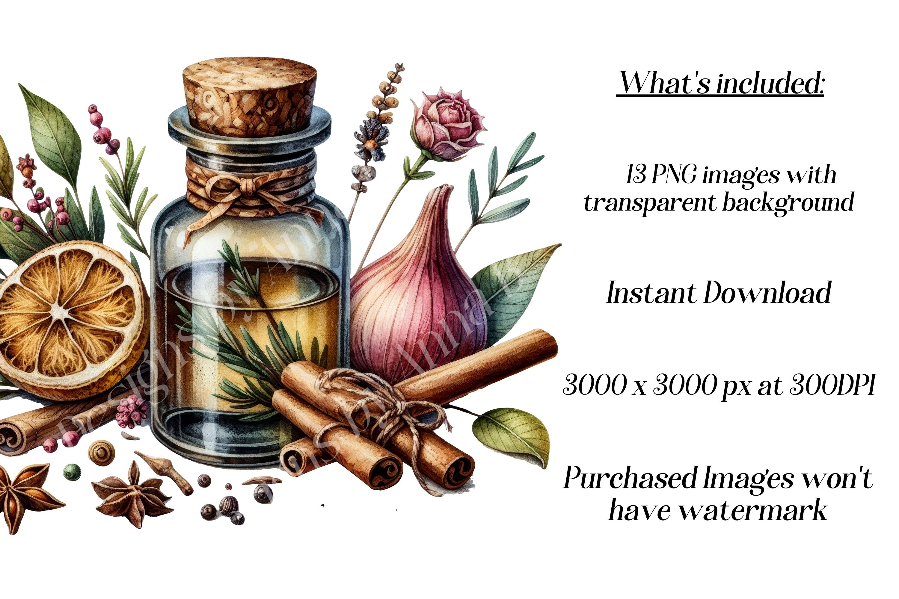Watercolor Essential Oils Clipart: Botanical Aromatherapy PNG (digital ...