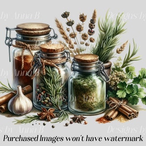 Watercolor Rustic Herbs and Spices Clipart: Kitchen Art (12 PNG Files ...