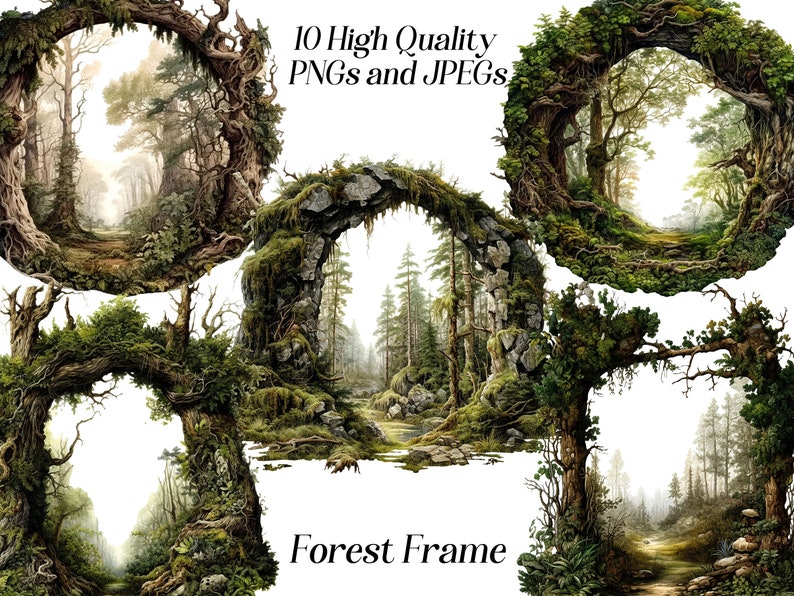 Watercolor Forest Frame Clipart: Enchanted Woodland PNG JPEG (digital ...