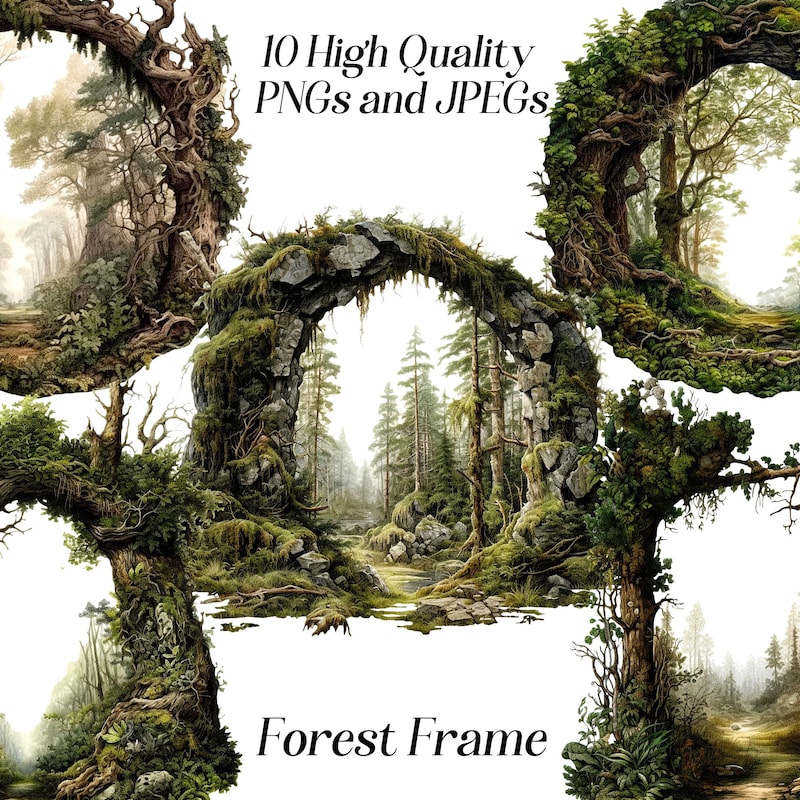 Misty Forest Enchanted - Etsy