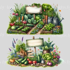 Watercolor Garden Patch Clipart, 14 PNG Files, Vegetables, Countryside ...