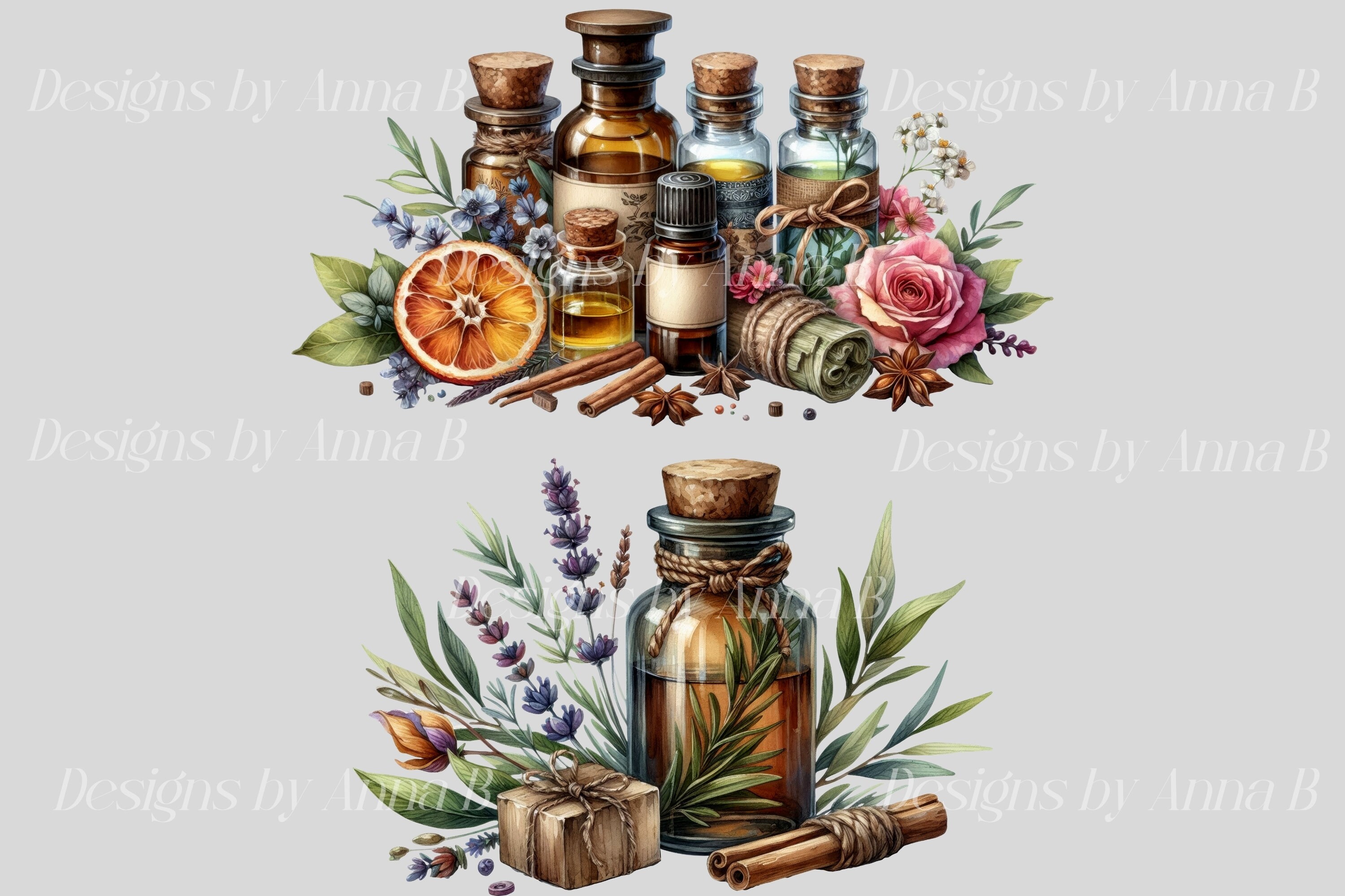 Watercolor Essential Oils Clipart: Botanical Aromatherapy PNG (digital ...