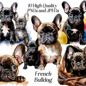 Watercolor French Bulldog Clipart, 10 High Quality JPEG and PNG Files ...