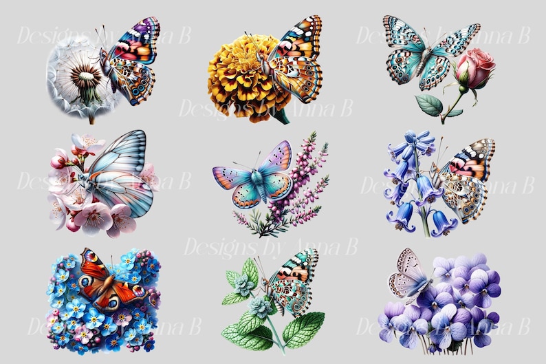 Watercolor Butterfly Clipart: 50 PNG Files (digital Download) - Etsy