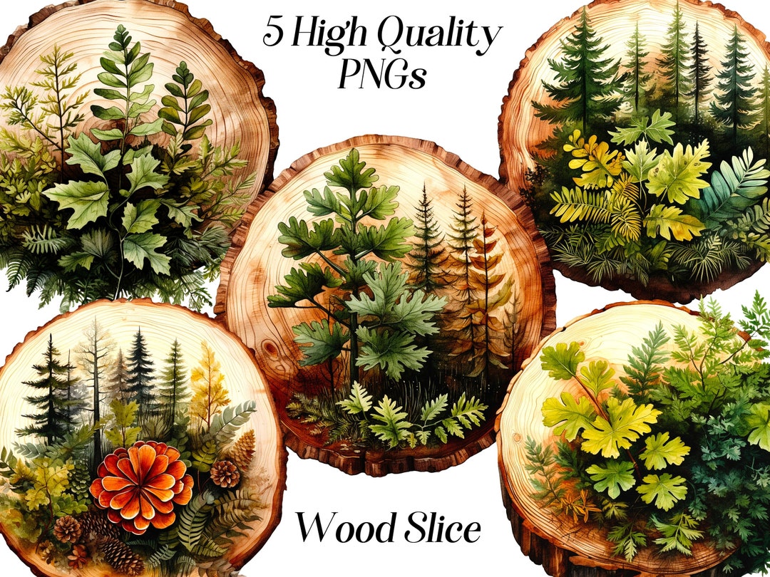 Watercolor Wood Slice Clipart, 5 High Quality PNG Files, Forest Foliage ...