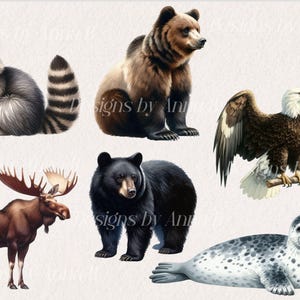 American Wildlife Clipart: USA Animals Illustration Set (digital ...