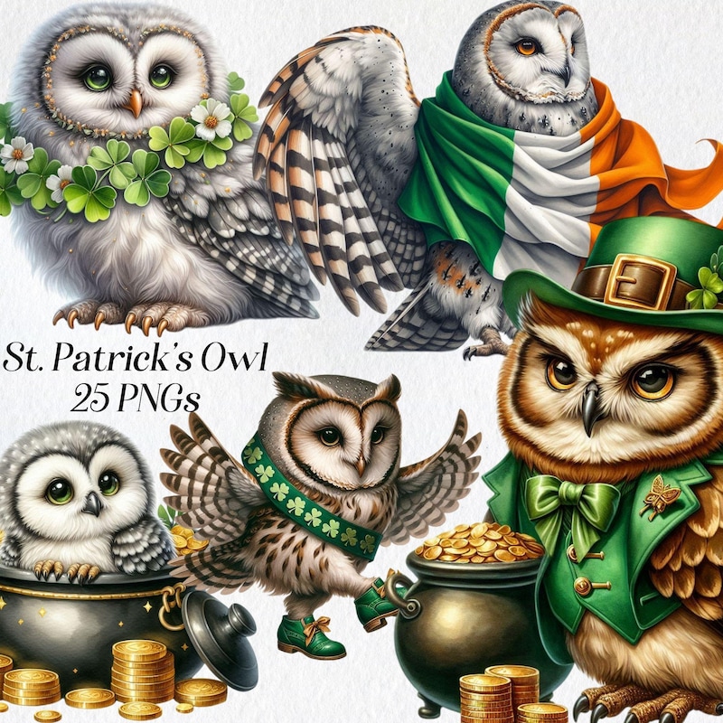 St Patricks Day Owl - Etsy