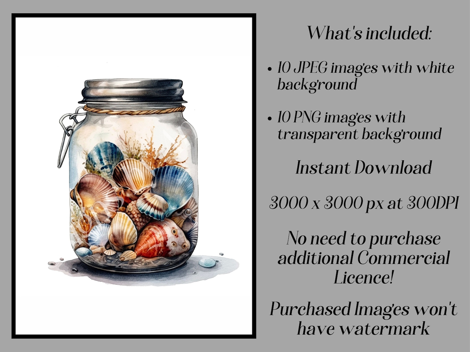 Watercolor Sea Shells Clipart 10 High Quality JPEG and PNG - Etsy