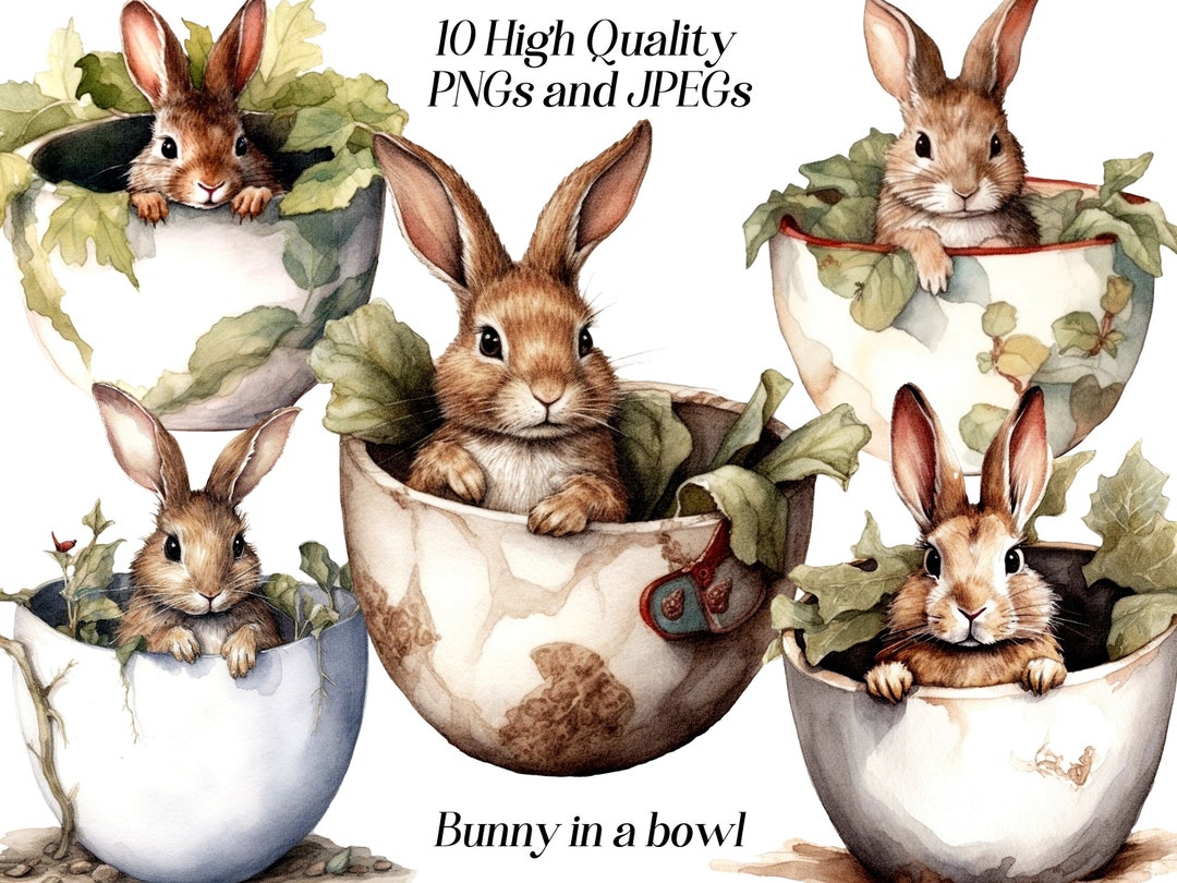Watercolor Bunny Clipart, 10 High Quality JPEG and PNG Files, Bunny in ...