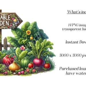 Watercolor Garden Patch Clipart, 14 PNG Files, Vegetables, Countryside ...