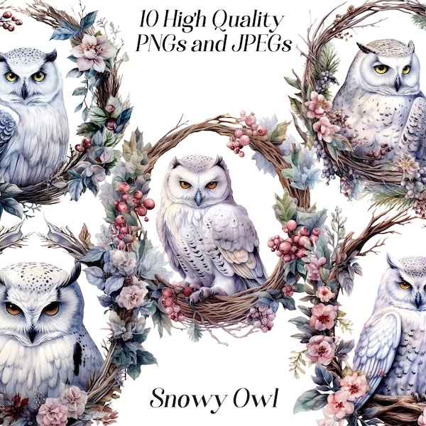 Whimsical Owl Art - Etsy