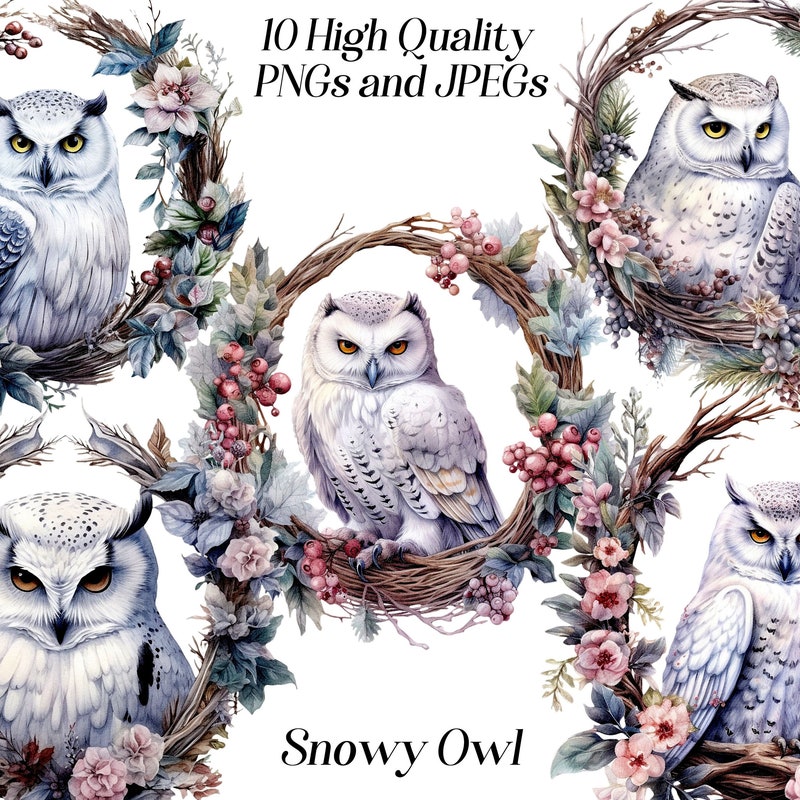 Wise Owl Clip Art - Etsy