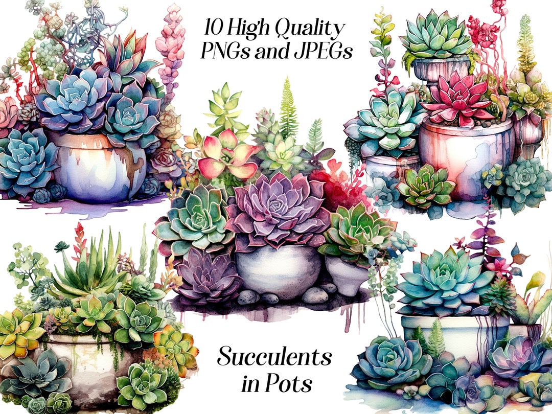 Watercolor Succulents Clipart: Potted Plants Art (digital Download) - Etsy