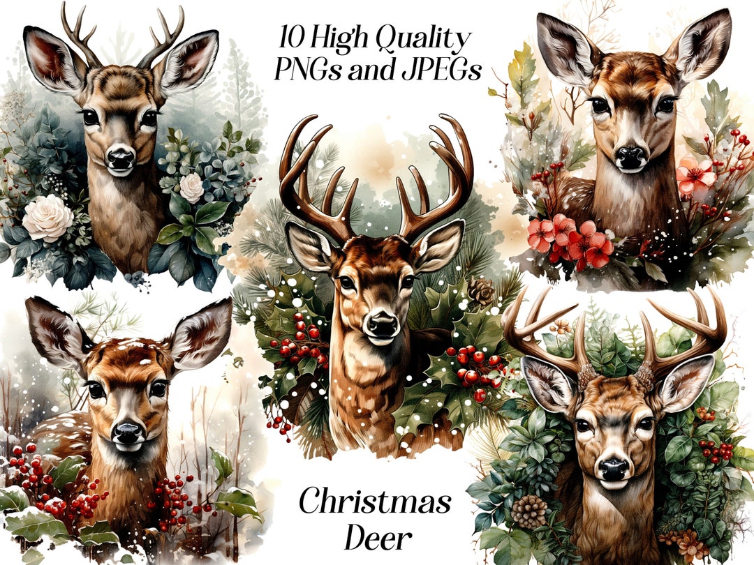 Watercolor Christmas Deer Clipart: Holiday Card Making (JPEG, PNG) - Etsy
