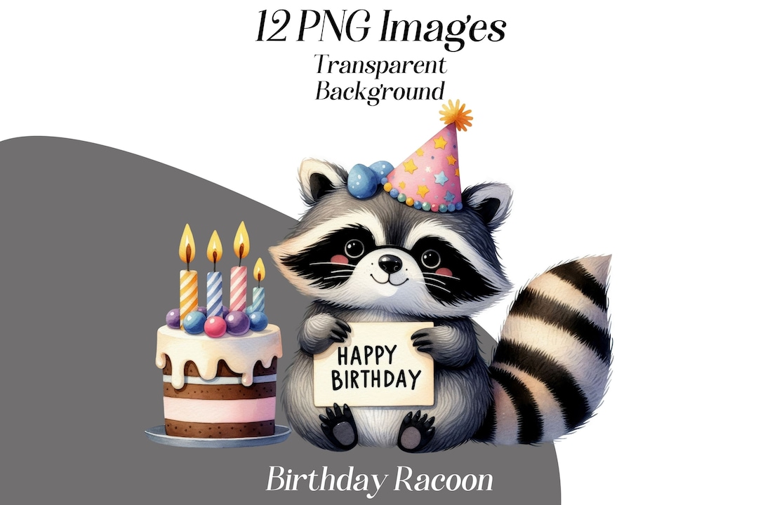Birthday Raccoon Clipart, 12 PNG Files, Cute Animal, Celebration ...