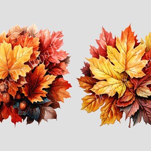 Watercolor Autumn Leaves Clipart: Fall Graphics (PNG Files) - Etsy