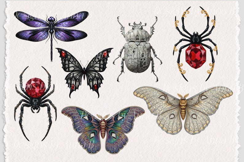 Gothic Insects Clipart Set, Dark Fantasy Moths Beetles Spiders ...