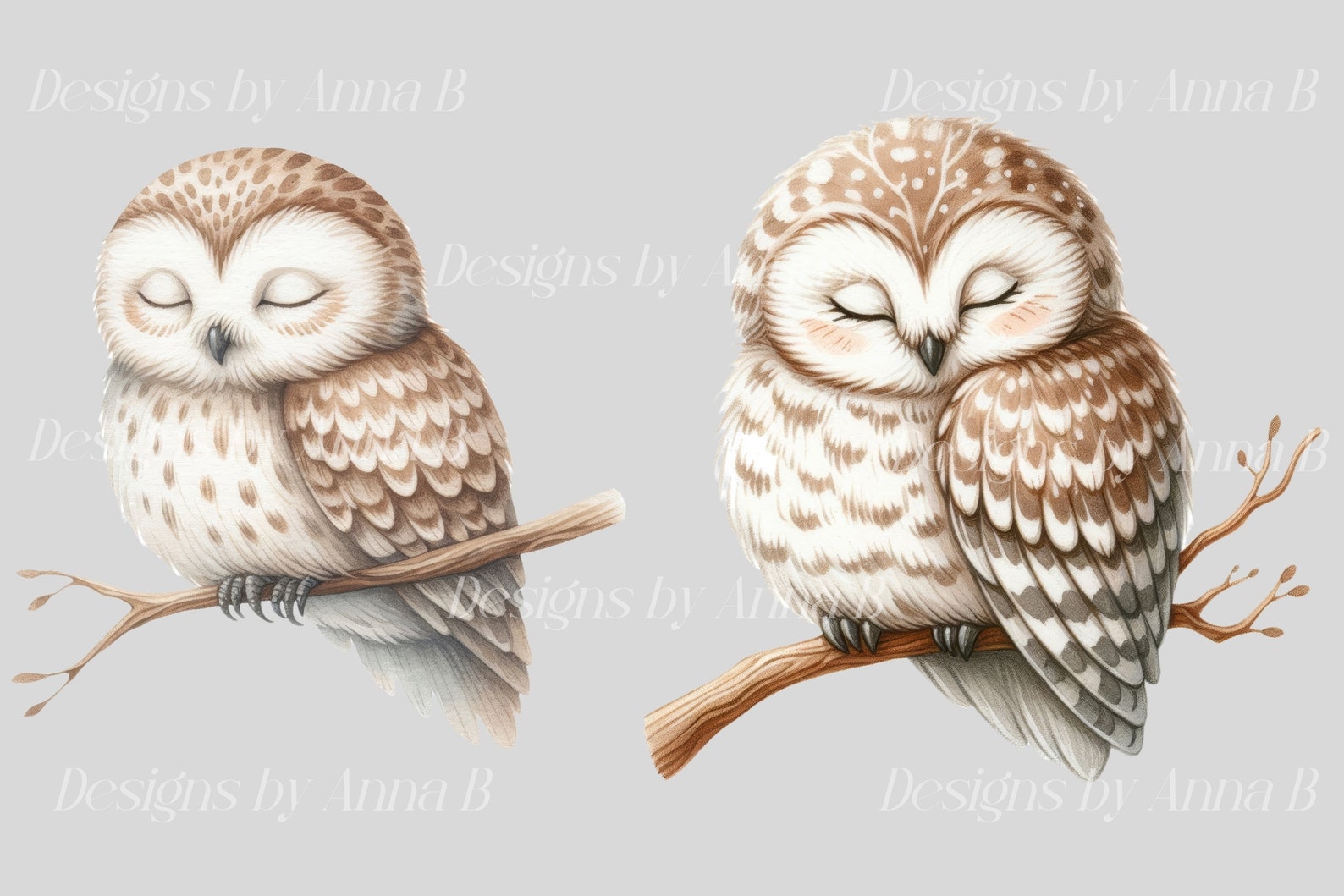 Watercolor Sleepy Owl Clipart: Nursery Art, Woodland Pngs (digital ...