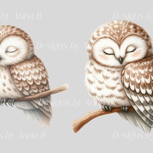 Watercolor Cute Sleepy Owl Clipart, 12 PNG Files, Cartoon Owl, Nursery ...