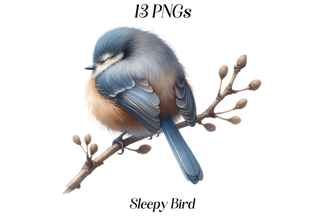 Watercolor Sleepy Bird Clipart: Nursery Art (digital Download) - Etsy