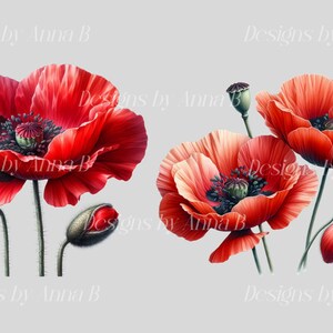 Watercolor Red Poppies Clipart: Floral PNG Set (digital Download) - Etsy
