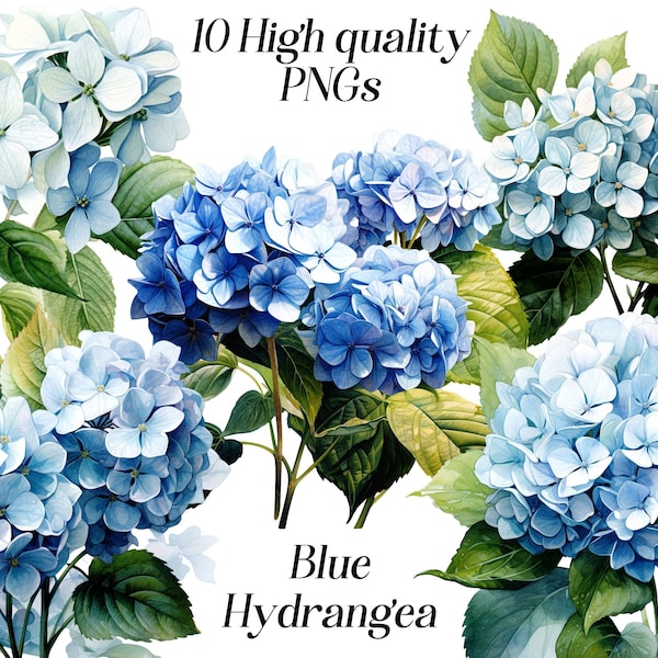 Blue Hydrangea - Etsy