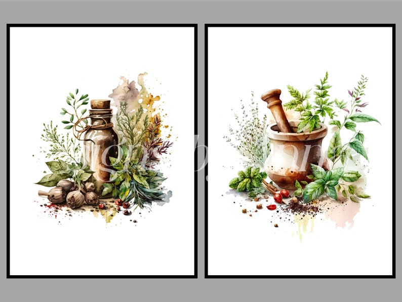 Watercolor Herbs & Spices Clipart: Rustic Kitchen Graphics (JPEG, PNG ...