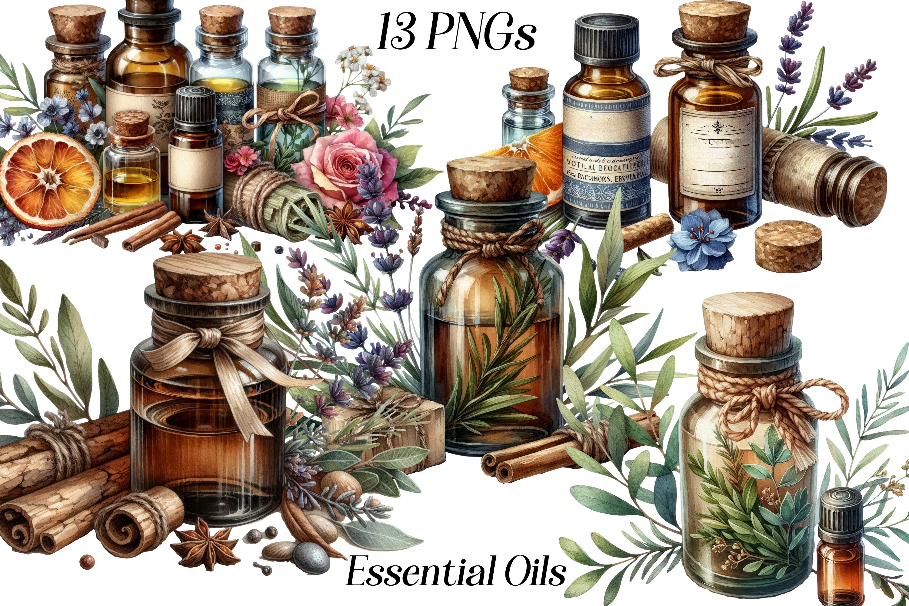 Watercolor Essential Oils Clipart: Botanical Aromatherapy PNG (digital ...