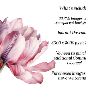 Watercolor Pink Flowers Clipart, 33 High Quality PNG Files, Wedding ...