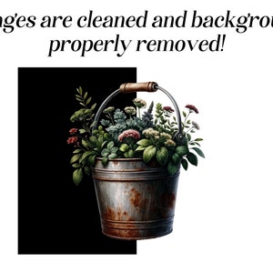 Watercolor Rustic Bucket Clipart, 10 High Quality PNG Files, Garden ...