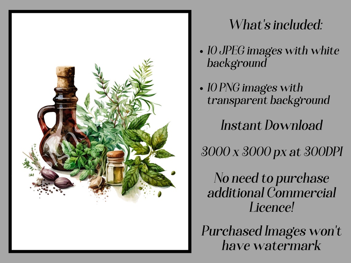 Watercolor Herbs & Spices Clipart: Rustic Kitchen Graphics (JPEG, PNG ...