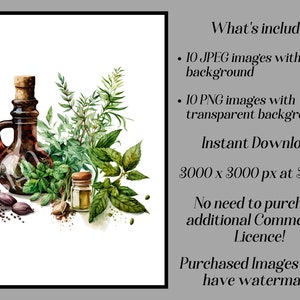 Watercolor Herbs & Spices Clipart: Rustic Kitchen Graphics (JPEG, PNG ...