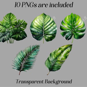 Watercolor Tropical Leaves Clipart, 10 High Quality JPEG and PNG Files ...