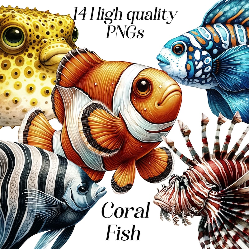 Ocean Fish Art - Etsy