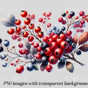 Watercolor Winter Berries Clipart, 12 PNG Files, Berries, Branches ...