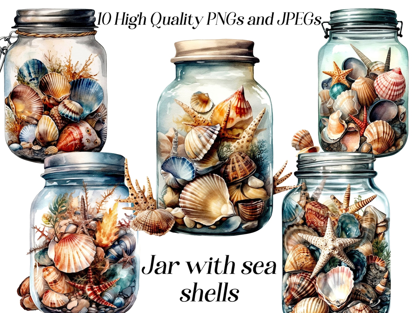 Watercolor Sea Shells Clipart 10 High Quality JPEG and PNG - Etsy