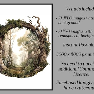 Marco de bosque en acuarela: Bosque encantado PNG JPEG (Descarga ...