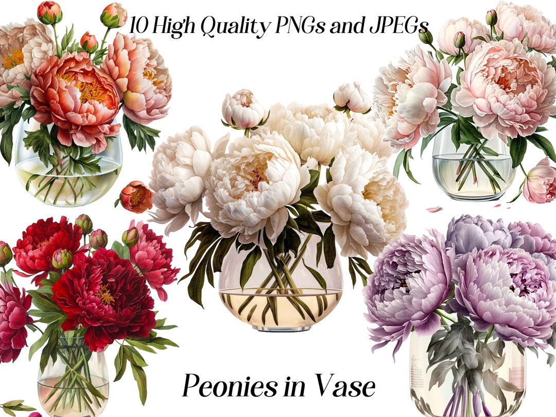 Watercolor Peonies Clipart, 10 High Quality JPEG and PNG Files, Peony ...