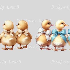 Watercolor Three Cute Ducklings Clipart, 13 PNG Files, Cute Duck, Baby ...