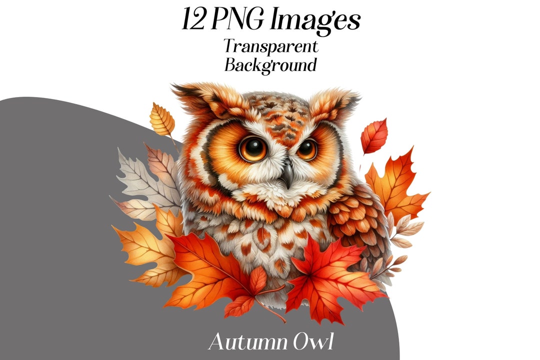 Autumn Owl Watercolor Clipart: Fall PNG Images (digital Download) - Etsy