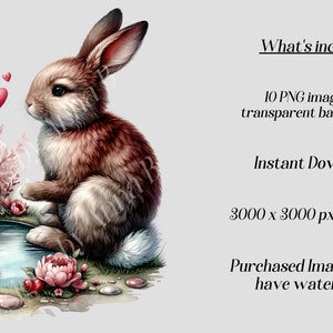 Watercolor Valentine Bunny Clipart, 10 High Quality PNG Files, Cute ...